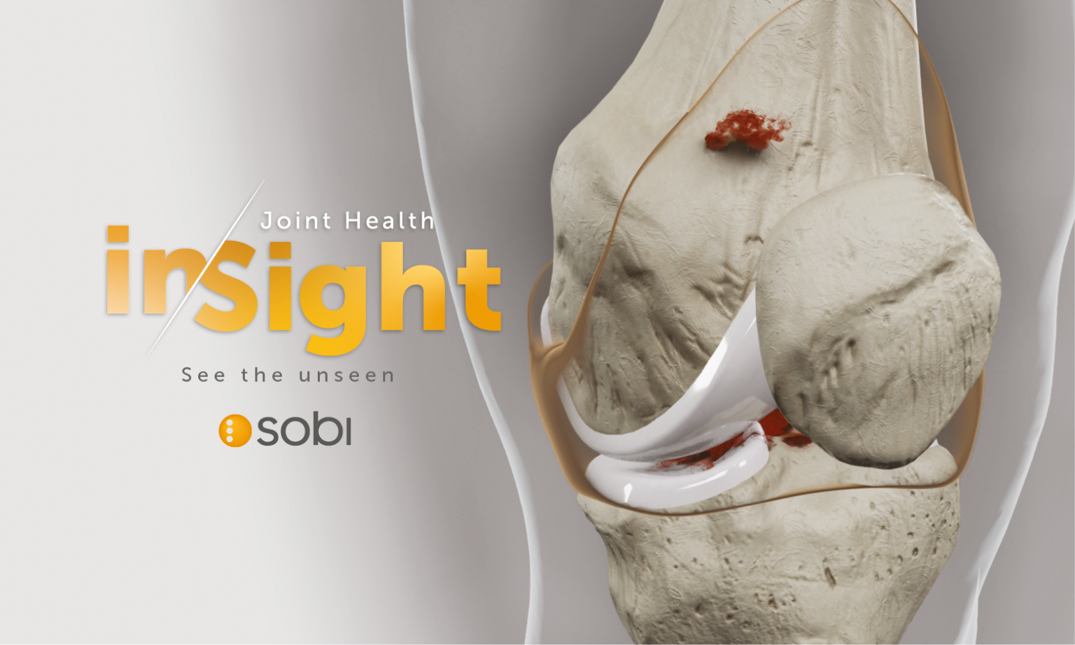 PM Society Digital Awards 2024 – Innovation – Best Use of Technology ...